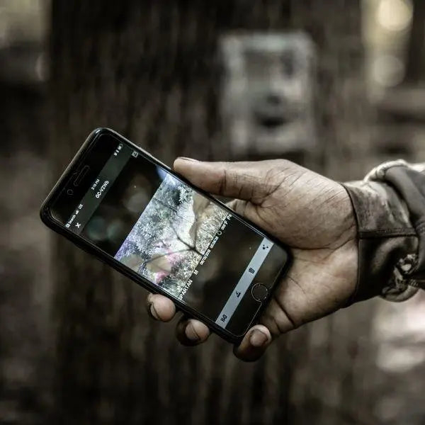 Setari cont Gmail 2023 pentru camera de vanatoare | Articole Vanatoare